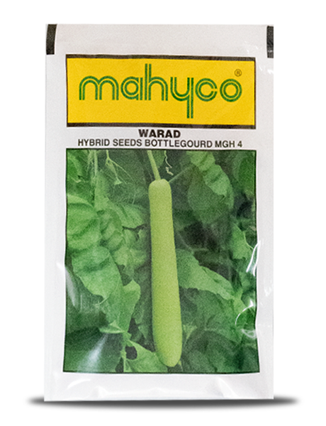 MAHY MGH-4 WARAD BOTTLEGOURD – Agri Stores